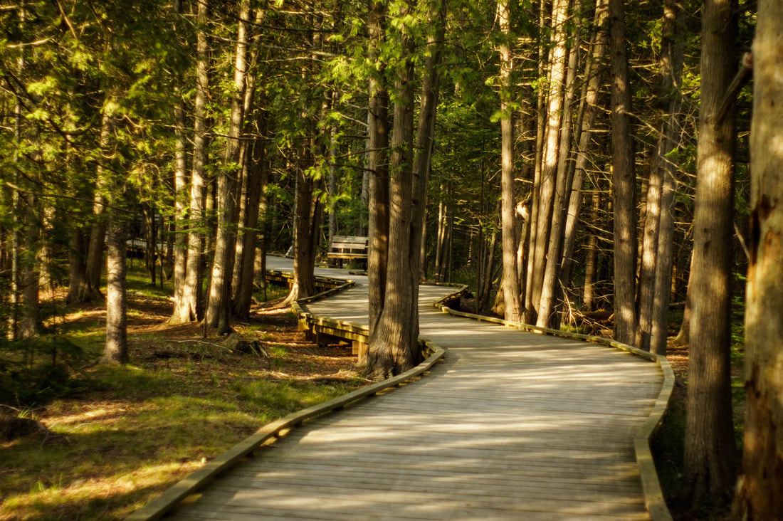 14 Family-Friendly Fall Activities In Door County - DoCo Vacations